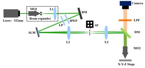 Schematic Diagram Of The Multifocal Structured Illumination Microscope Download Scientific