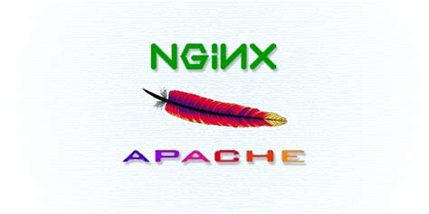 Включить сжатие Gzip и кэширование в Nginx и Apache Linux