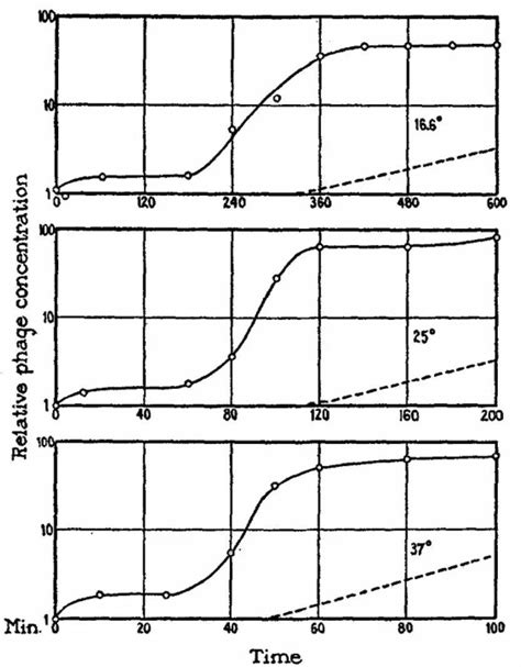 大肠埃希菌t2噬菌体的一步生长曲线实验 上海谓载科技有限公司
