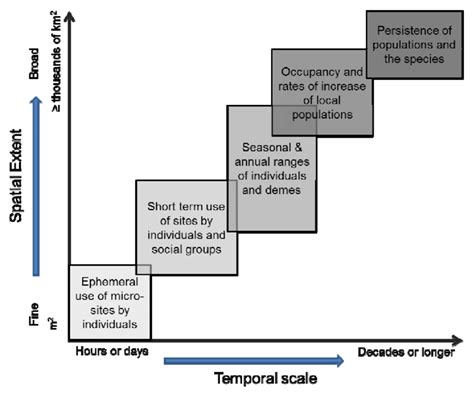 Peary Caribou Habitat Selection Occurs At Multiple Spatial And Temporal Download Scientific