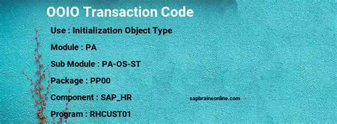 OOIO SAP Tcode For Initialization Object Type
