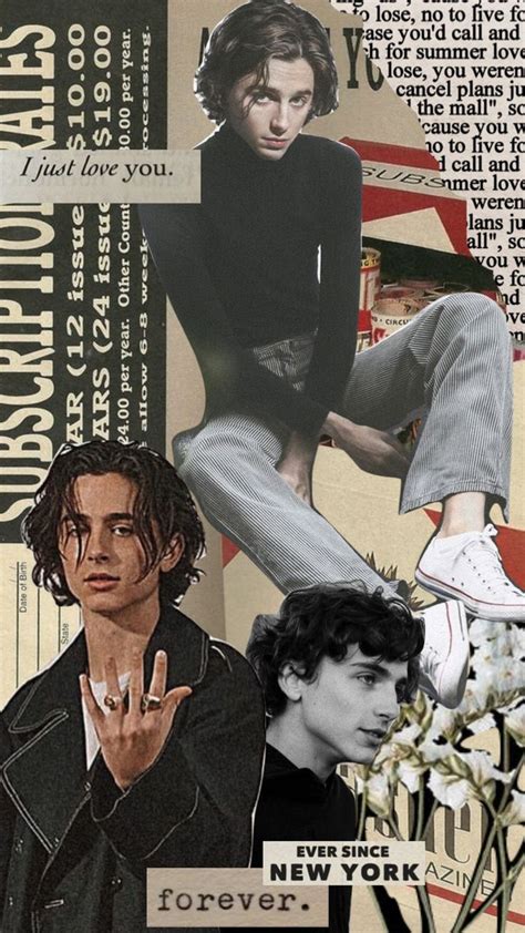 Timotheechalamet Timothee Timotheechalametedit