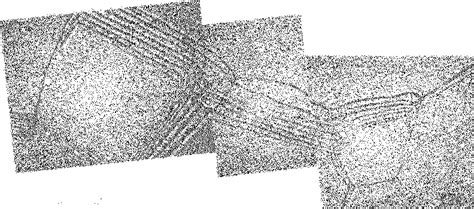 Figure 1 From Microstructure And Microtexture Evolution During High