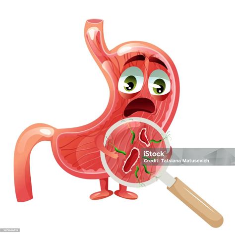 돋보기 아래 궤양과 헬리코박터 파일로리 감염이 있는 무서운 만화 위 캐릭터 염증에 대한 스톡 벡터 아트 및 기타 이미지 염증