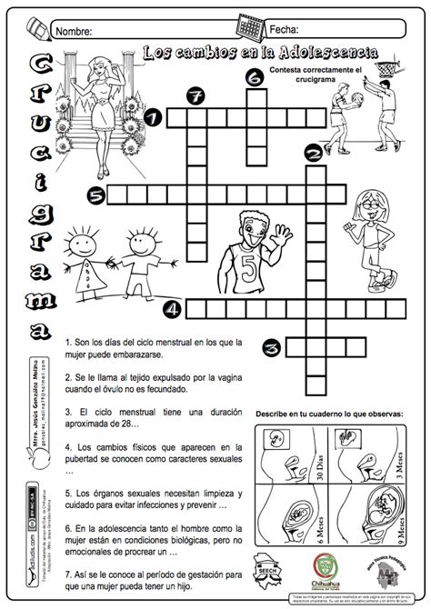 Los Cambios En La Adolescencia Actividades Lúdicas Educativas