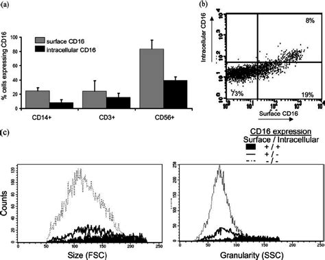 Flow Cytometric Analysis Of Surface And Intracellular Cd16a Expression
