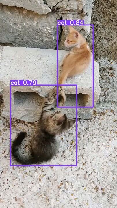 [video] zaid mahboob on linkedin yolov8 computervision