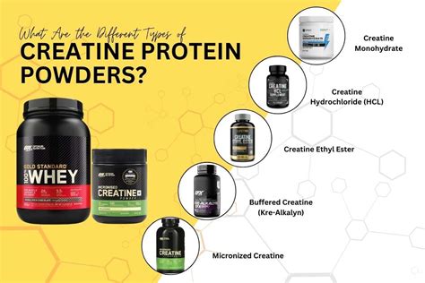 Best Way To Take Creatine That Maximize Benefits The Lifesciences