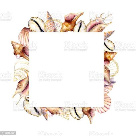 황금 껍질 수채화 사각형 프레임입니다 흰색 배경에 고립 된 손으로 그린 바다 조개 카드 해상 템플릿 디자인 인쇄 또는 배경에 대한 그림입니다 가리비에 대한 스톡 벡터 아트
