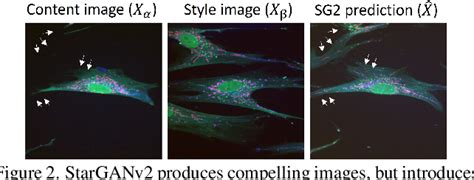 Figure 1 From Out Of Distribution Generalization Via Interventional Style Transfer In Single