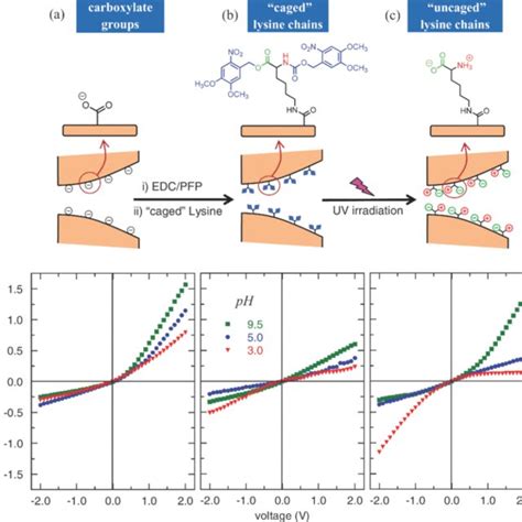 Pdf Nernst Planck Model Of Photo Triggered Ph Tunable Ionic