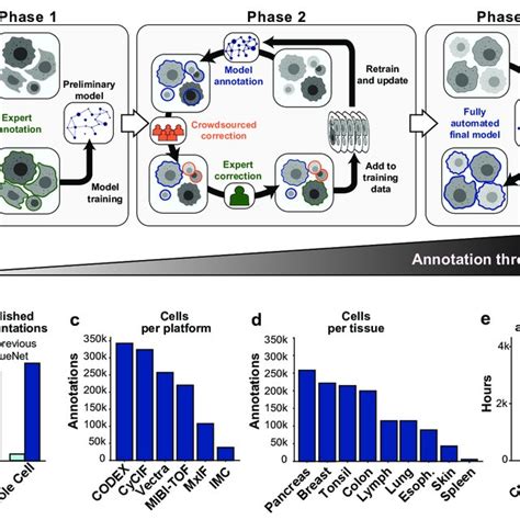 Pdf Whole Cell Segmentation Of Tissue Images With Human Level
