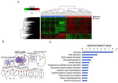 combining multi dimensional data to identify key genes and pathways in