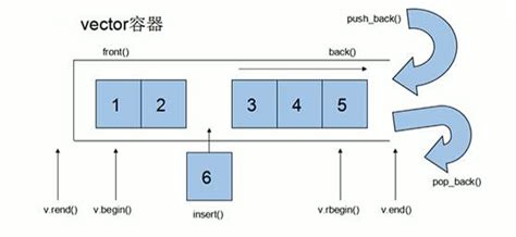 C 黑马程序员P vector容器 构造函数赋值容量和大小插入和删除 我会变强的 博客园