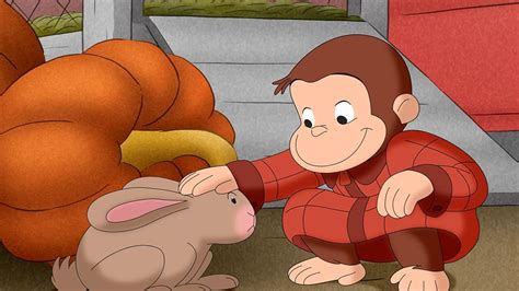 prime video curious george a halloween boo fest