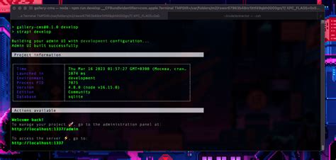 Создание простого Spa на Vuejs с использованием Cms Strapi Хабр