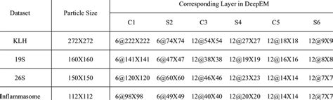 Hyper Parameters Used In Different Datasets Download Table