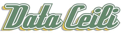 Reitse Eskens On Linkedin Data Céilí 2025 Call For Speakers