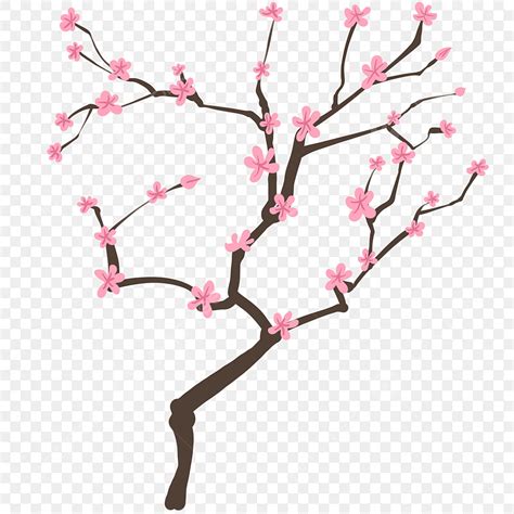 Cherry Blossom Cartoon Bogados