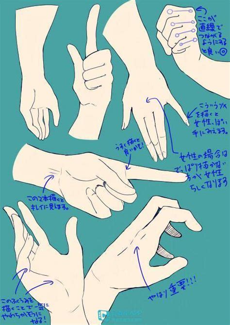 动漫人物画法教程之手 搜狐大视野 搜狐新闻