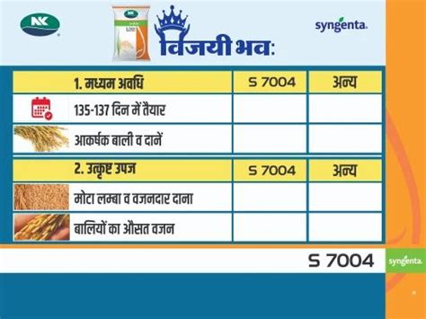 Printed Square Medium Star Flex At Rs Sq Ft In Patna ID