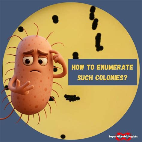 Microbiology How To Accurately Count Colonies On A Petri Dish SuperMicrobiologists