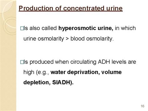 Concentration And Dilution Of Urine 1 Body Fluid