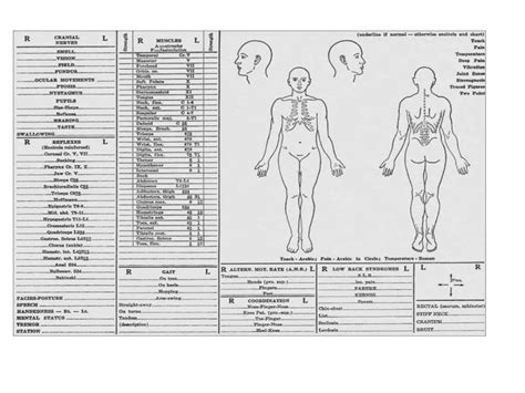 Neurological Examination New Ppt Pptx