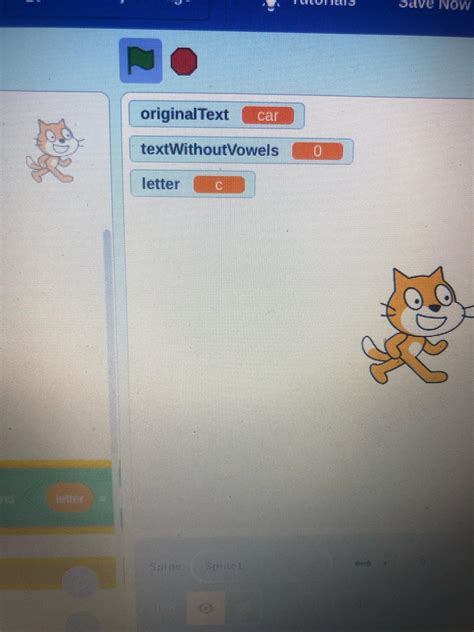 How Do I Make The Code Remove The Vowels Without Disrupting The Other