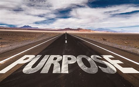 Our Purpose