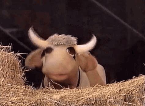Sesame Street Gladys  Sesame Street Gladys Gladys The Cow
