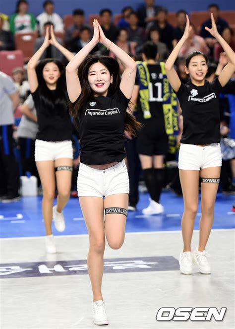 경기장의 꽃 치어리더 열전 사진 현대캐피탈 치어리더 다 같이 박수 ZUM 뉴스