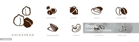 씨앗과 견과류 갈색 플랫 아이콘 와 이름 및 비문 벡터 세트 견과에 대한 스톡 벡터 아트 및 기타 이미지 견과 새긴 이미지 실루엣 Istock