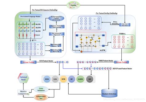 基于深度表征学习特征的抗癌肽预测 Anticp2 Csdn博客