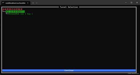 基于linux为服务器，搭建的一个web网站 linux网页版 csdn博客