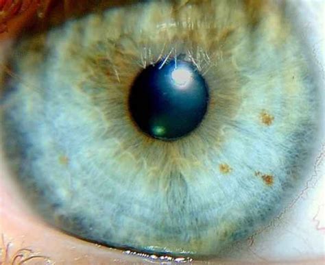 For The First Time Humans See Quantum Entanglement With The Naked Eye Quantum Entanglement