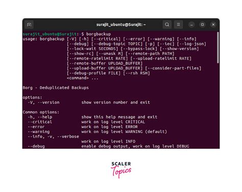 What Are The Best Backup Tools For Linux Scaler Topics