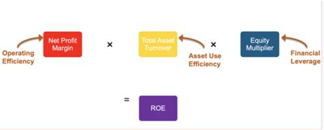 Chapter 3 Working W Financial Statements Flashcards Quizlet