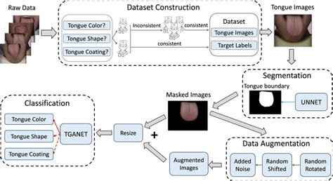 The Framework For Tongue Color Recognition Encompasses Four Key Stages