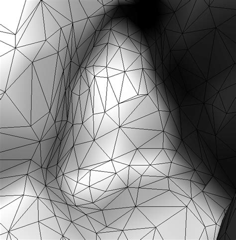 Top Surface Rendering Of Mache Before Decimation The Original Mesh Of