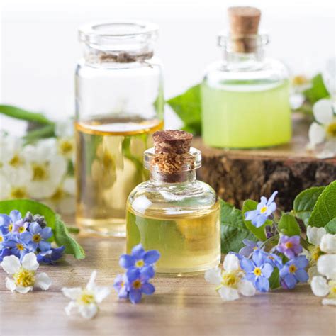 Plus Size Sex And Sex Positions Plus Size Friendly Sex Toys