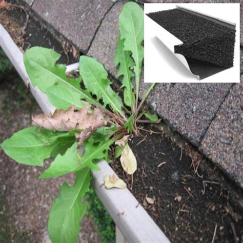 foam gutter guards gutterbrush gutterbrush gutter guards
