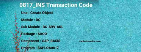 INS SAP Tcode For Create Object