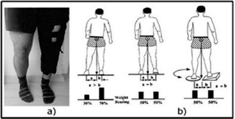 Constraint Method Of The Nonparetic Lower Extremity A Whole Leg Download Scientific Diagram