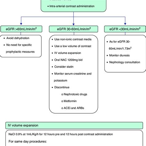 Proposed Algorithm For Ci Aki Prevention Download Scientific Diagram