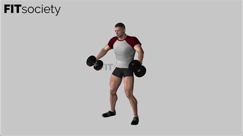 Standing Dumbbells Lateral Fly Men Example Exercise Male Fitness
