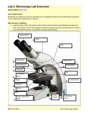 Lab 2 Microscopy Lab Exercises Docx Lab 2 Microscopy Lab Exercises Babe Name Brice Gay