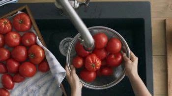 Progresso Soup TV Spot Elegant Words ISpot Tv