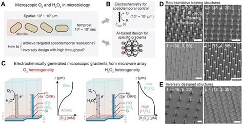 Ai Based Inverse Design Of Electrochemically Generated O2 And H2o2 Download Scientific Diagram