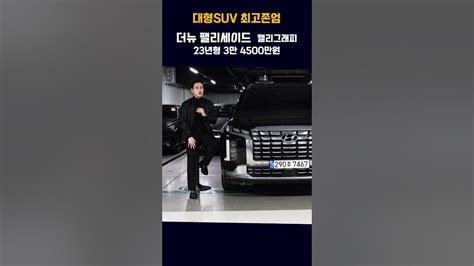 더뉴팰리세이드 대형suv 최고 Youtube